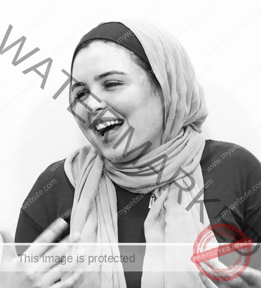 OUR COMPANY – safetrans.co